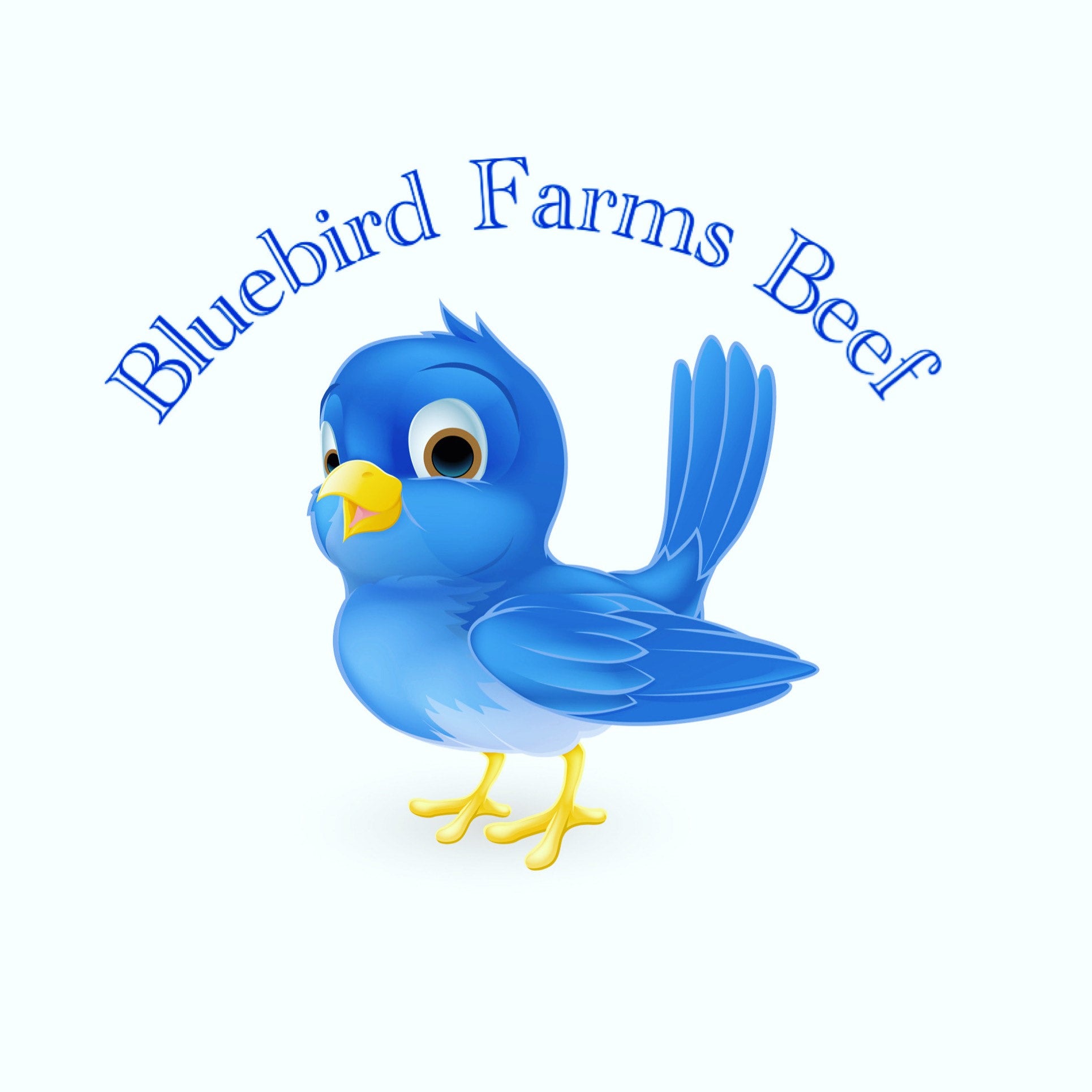Beef Boxes – Bluebird Farms Beef